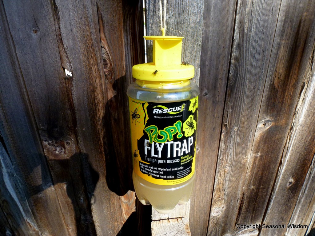 Earth-Friendly Ways to Deal with Garden Pests